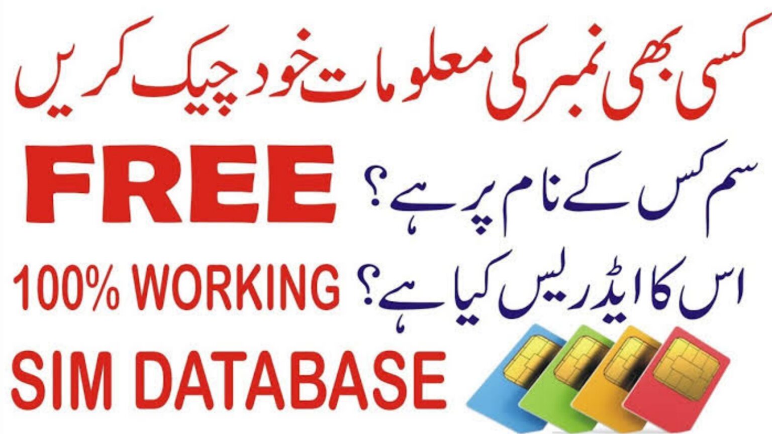 Pak E-Services – Info Point